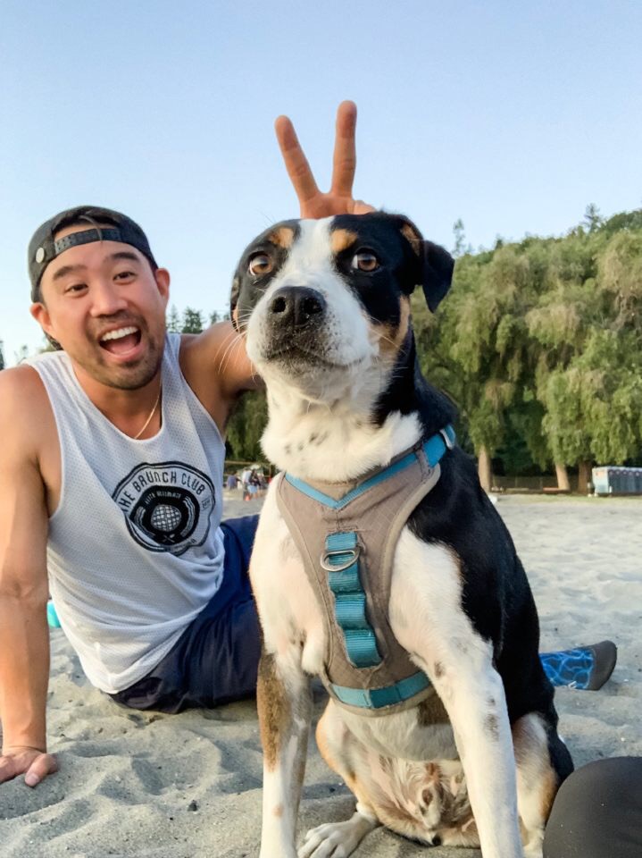 Home [www.derekshiu.com]